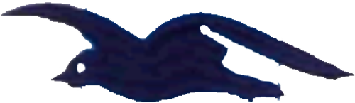 Brighton Logo History