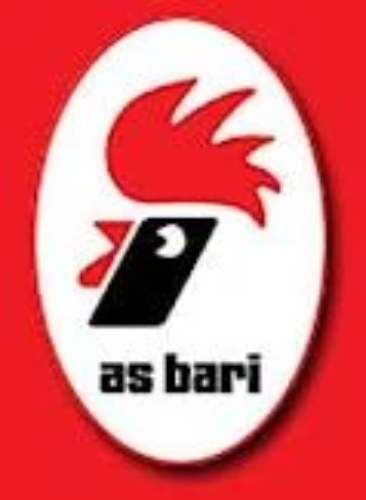 Bari Logo History