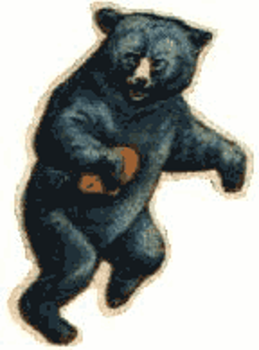 Chicago Bears Logo History